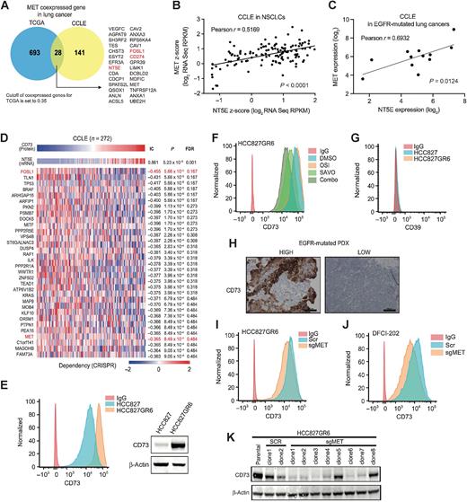 MET-Induced CD73 Restrains STING-Mediated Immunogenicity of EGFR-Mutant ...
