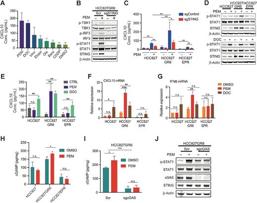 MET-Induced CD73 Restrains STING-Mediated Immunogenicity of EGFR-Mutant ...