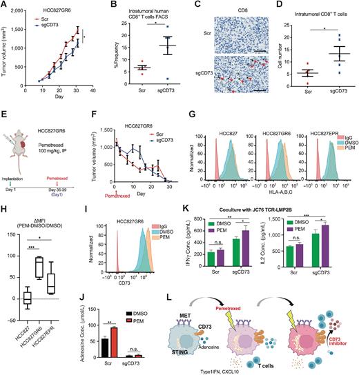 MET-Induced CD73 Restrains STING-Mediated Immunogenicity of EGFR-Mutant ...