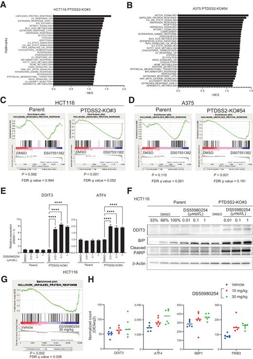 Potent and Selective PTDSS1 Inhibitors Induce Collateral Lethality in ...
