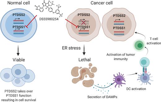 Potent and Selective PTDSS1 Inhibitors Induce Collateral Lethality in ...