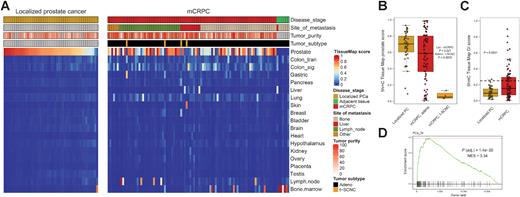 The 5-Hydroxymethylcytosine Landscape of Prostate Cancer | Cancer ...