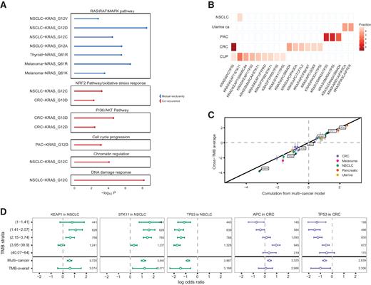 Genomic Landscapes and Hallmarks of Mutant RAS in Human Cancers ...