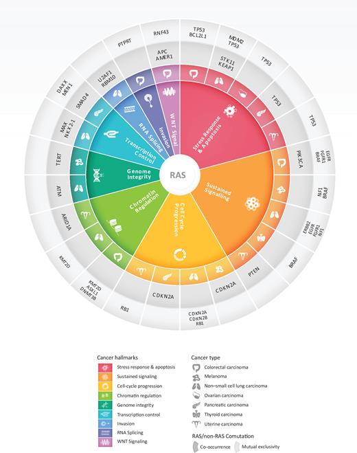 Genomic Landscapes and Hallmarks of Mutant RAS in Human Cancers ...