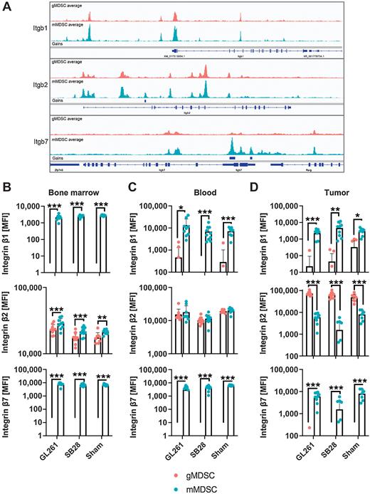 Distinct Cell Adhesion Signature Defines Glioblastoma Myeloid-Derived ...
