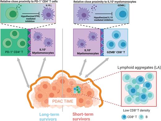 Quantitative Spatial Profiling of Immune Populations in Pancreatic ...