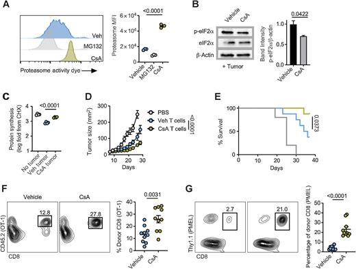 Stress-Mediated Attenuation of Translation Undermines T-cell Activity ...