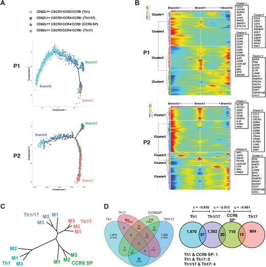 Single-Cell Analysis Reveals a CD4+ T-cell Cluster That Correlates with ...