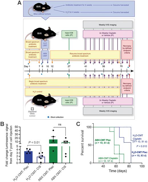 Disruption of the Gut Microbiota Confers Cisplatin Resistance in ...