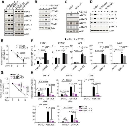PRC2-Mediated Epigenetic Suppression of Type I IFN-STAT2 Signaling ...