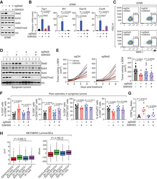 PRC2-Mediated Epigenetic Suppression of Type I IFN-STAT2 Signaling ...