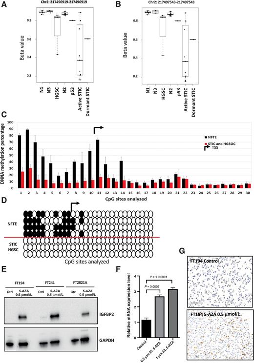 Spatial Transcriptomic Analysis of Ovarian Cancer Precursors Reveals ...