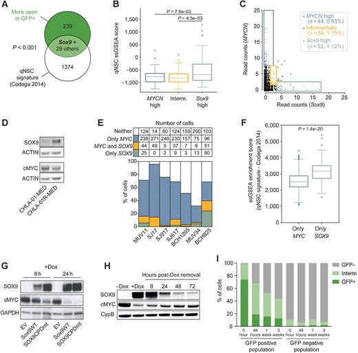 Dormant SOX9-Positive Cells Facilitate MYC-Driven Recurrence of ...