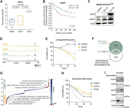 Dormant SOX9-Positive Cells Facilitate MYC-Driven Recurrence of ...