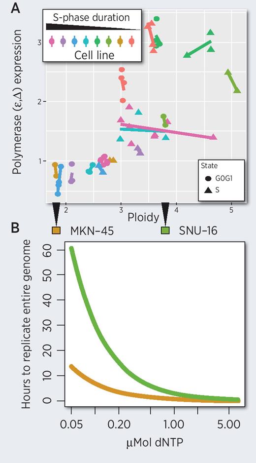 Tipping Cancer Cells Over the Edge: The Context-Dependent Cost of High ...