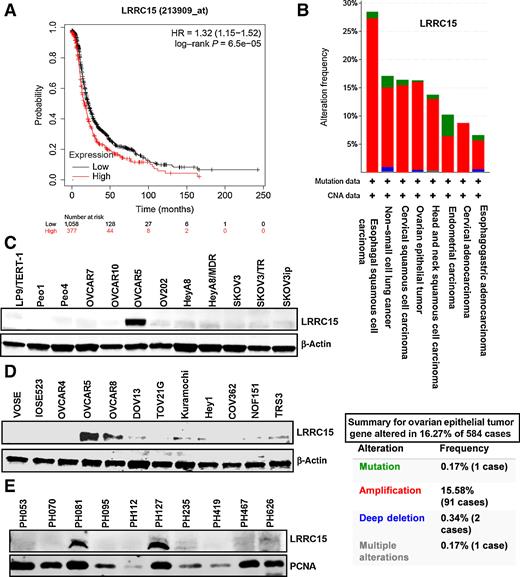 Targeting LRRC15 Inhibits Metastatic Dissemination of Ovarian Cancer ...