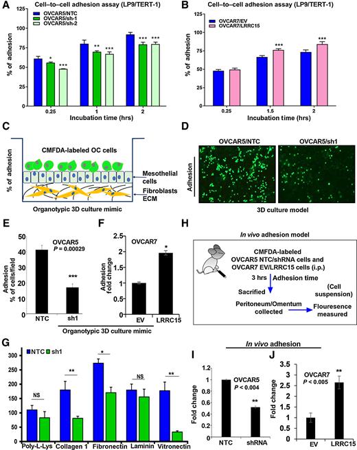 Targeting LRRC15 Inhibits Metastatic Dissemination of Ovarian Cancer ...