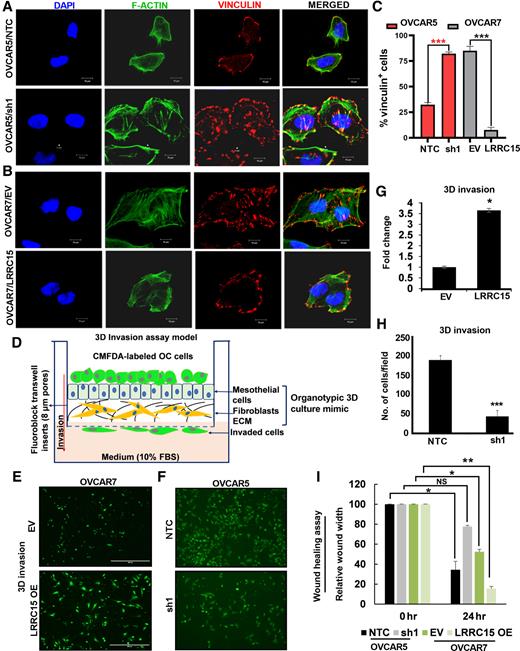 Targeting LRRC15 Inhibits Metastatic Dissemination of Ovarian Cancer ...