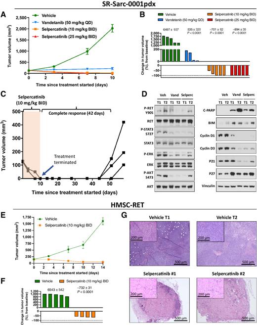 CIC-Mediated Modulation of MAPK Signaling Opposes Receptor Tyrosine ...