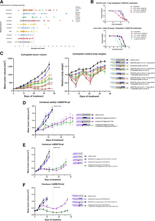 ATR Inhibitor AZD6738 (Ceralasertib) Exerts Antitumor Activity as a ...