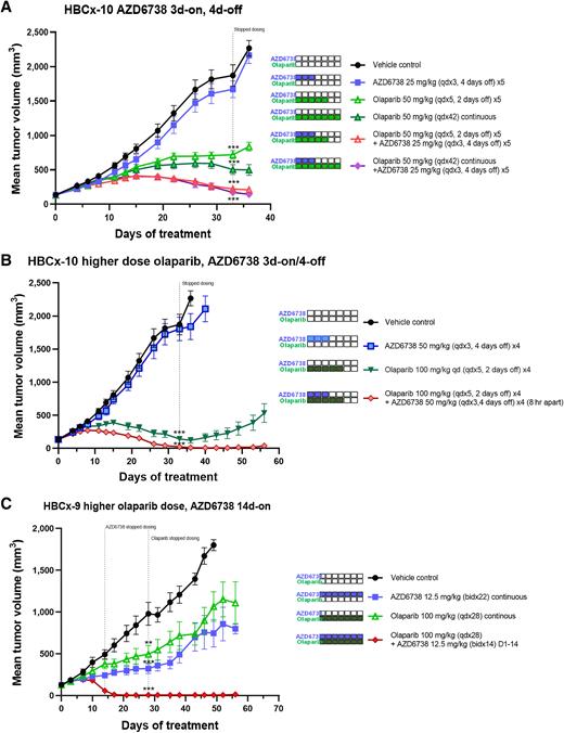 ATR Inhibitor AZD6738 (Ceralasertib) Exerts Antitumor Activity as a ...