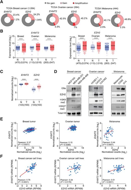 Combined Inhibition of G9a and EZH2 Suppresses Tumor Growth via Synergistic Induction of IL24 ...