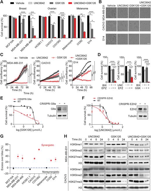 Combined Inhibition of G9a and EZH2 Suppresses Tumor Growth via ...