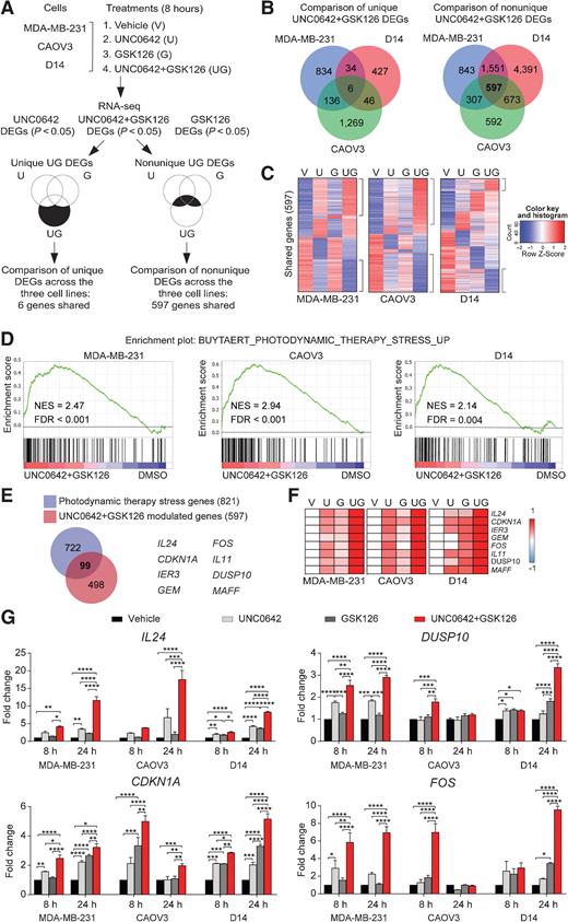 Combined Inhibition of G9a and EZH2 Suppresses Tumor Growth via ...