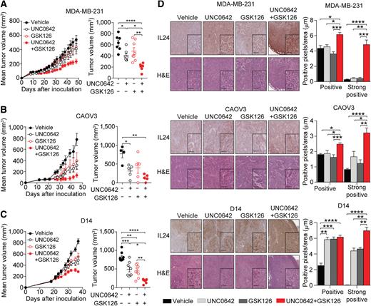 Combined Inhibition of G9a and EZH2 Suppresses Tumor Growth via Synergistic Induction of IL24 ...