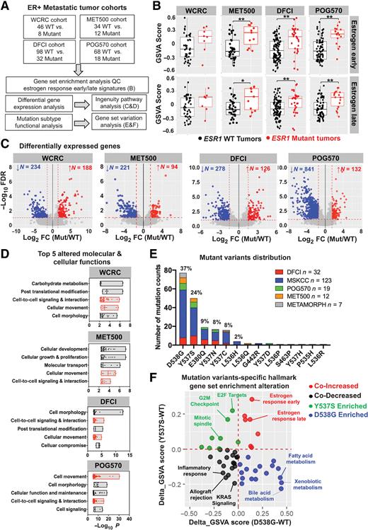Hotspot ESR1 Mutations Are Multimodal and Contextual Modulators of ...