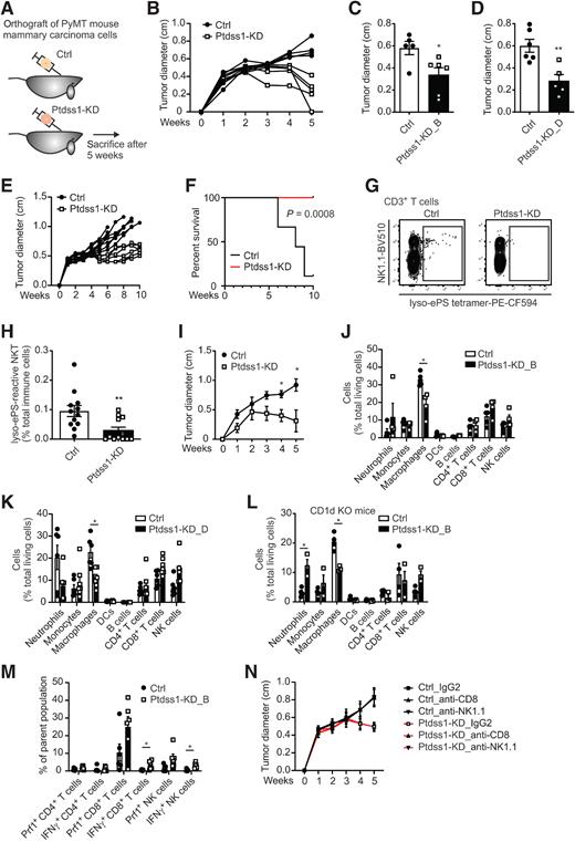 Phosphatidylserine Synthase PTDSS1 Shapes the Tumor Lipidome to ...
