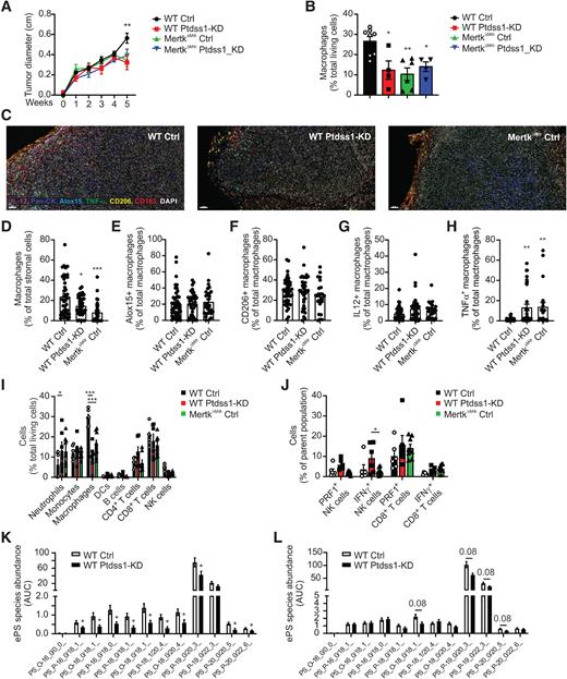 Phosphatidylserine Synthase PTDSS1 Shapes the Tumor Lipidome to ...
