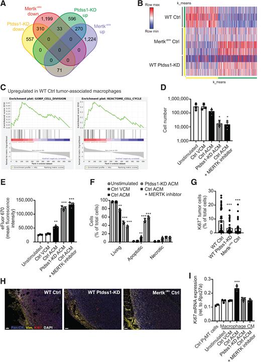 Phosphatidylserine Synthase PTDSS1 Shapes the Tumor Lipidome to ...