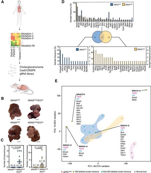 In Vivo Modeling of Patient Genetic Heterogeneity Identifies New Ways ...