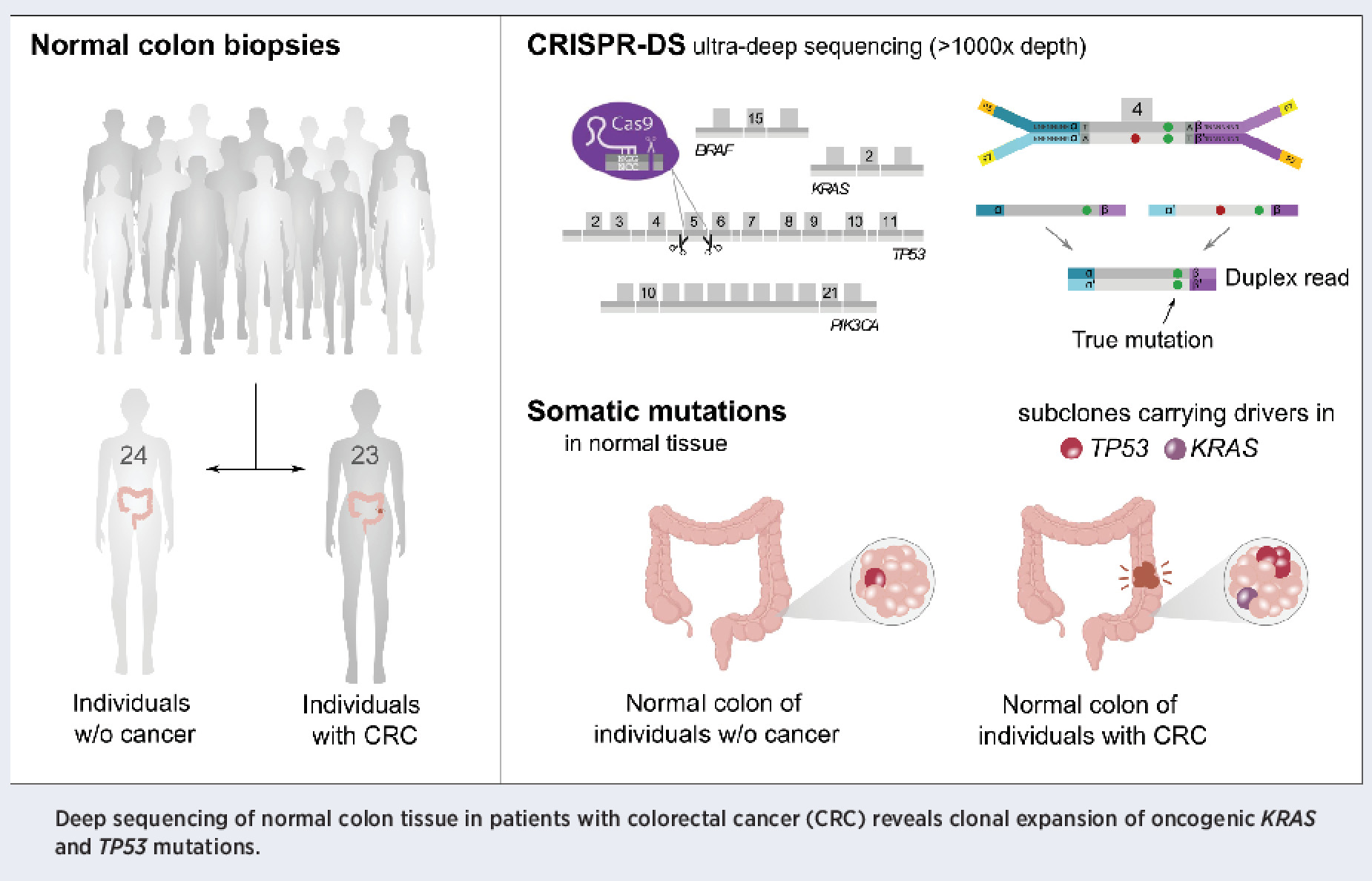 Colorectal Cancer Is Associated with the Presence of Cancer Driver ...