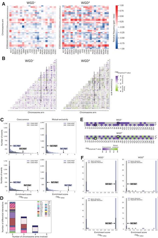Whole-Genome Duplication Shapes the Aneuploidy Landscape of Human ...