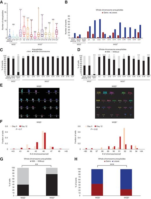 Whole-Genome Duplication Shapes the Aneuploidy Landscape of Human ...