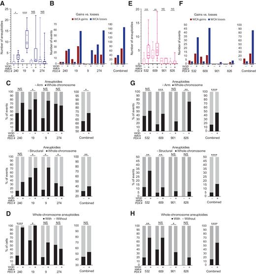 Whole-Genome Duplication Shapes the Aneuploidy Landscape of Human ...