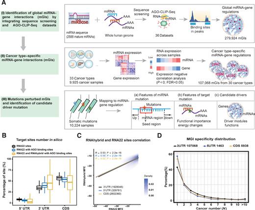 Landscape of MicroRNA Regulatory Network Architecture and Functional ...