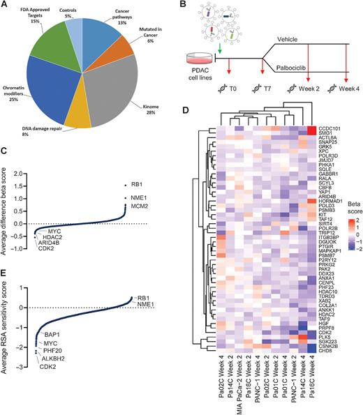 Combination Therapies with CDK4/6 Inhibitors to Treat KRAS-Mutant Pancreatic Cancer | Cancer ...