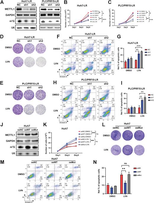 METTL1-Mediated m7G tRNA Modification Promotes Lenvatinib Resistance in ...
