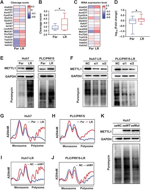 METTL1-Mediated m7G tRNA Modification Promotes Lenvatinib Resistance in ...