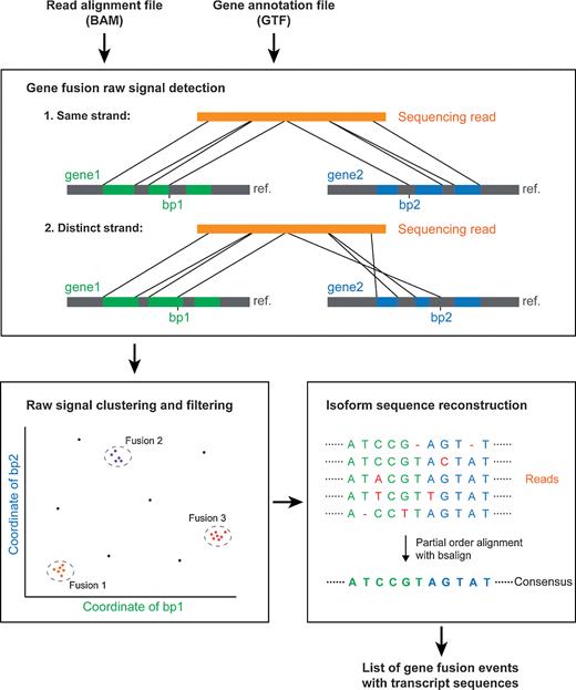 Gene Fusion Detection and Characterization in Long-Read Cancer ...