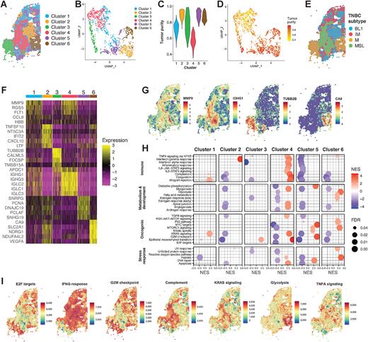 Spatial Transcriptomic Analysis of a Diverse Patient Cohort Reveals a Conserved Architecture in ...