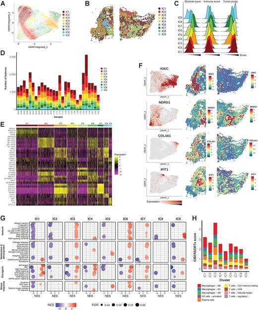 Spatial Transcriptomic Analysis of a Diverse Patient Cohort Reveals a Conserved Architecture in ...