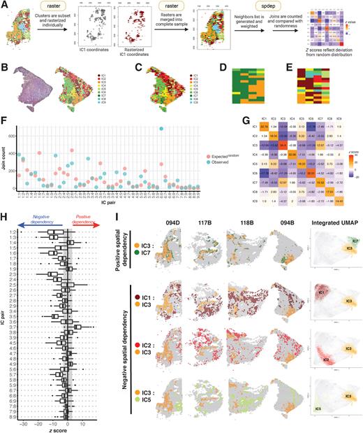 Spatial Transcriptomic Analysis of a Diverse Patient Cohort Reveals a Conserved Architecture in ...