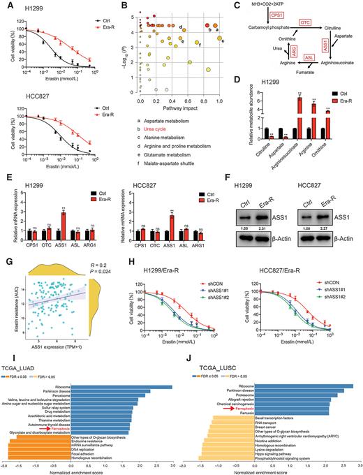 ASS1-Mediated Reductive Carboxylation of Cytosolic Glutamine Confers ...