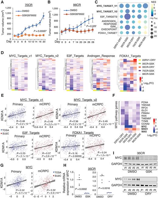 LSD1 Inhibition Disrupts Super-Enhancer–Driven Oncogenic ...