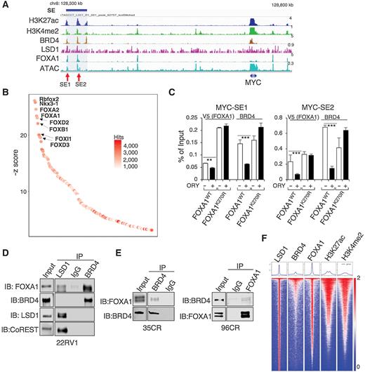 LSD1 Inhibition Disrupts Super-Enhancer–Driven Oncogenic ...