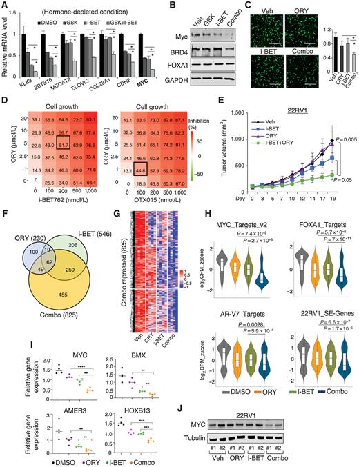 LSD1 Inhibition Disrupts Super-Enhancer–Driven Oncogenic ...